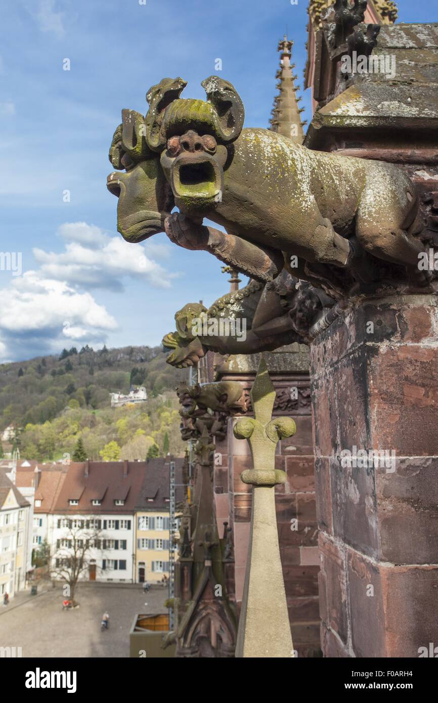 Figure of a gargoyle at Muenster in Freiburg, Germany Stock Photo - Alamy