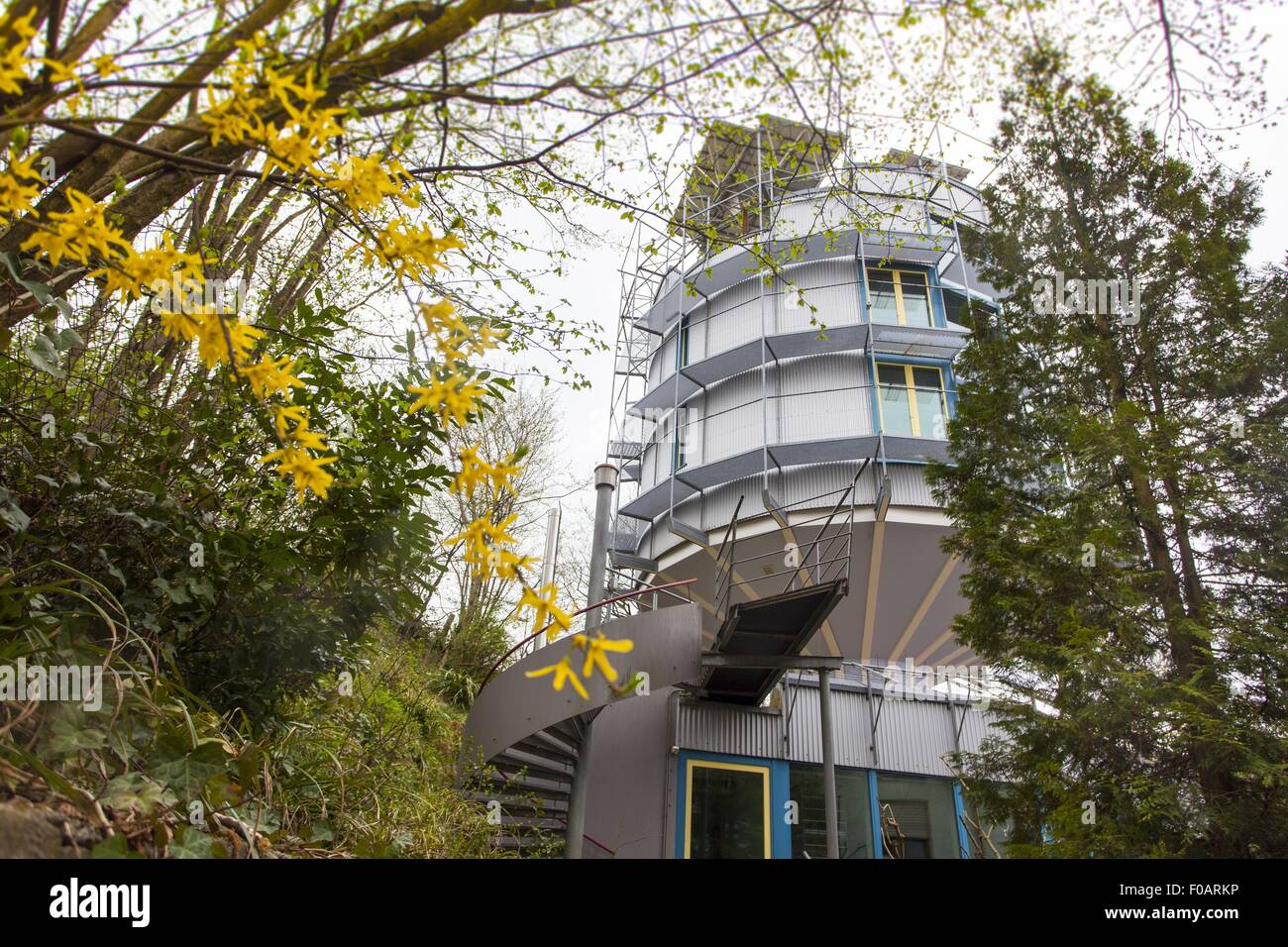 Heliotrope hi-res stock photography and images - Alamy