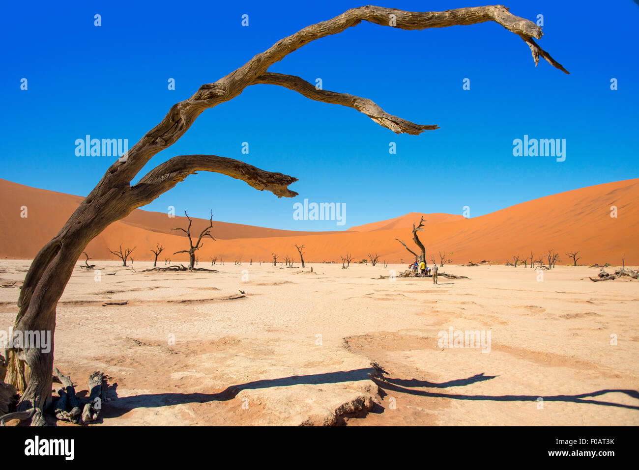 The Dead Viei (DeadVlei) Pan, Namib-Naukluft National Park, Sossusviei ...