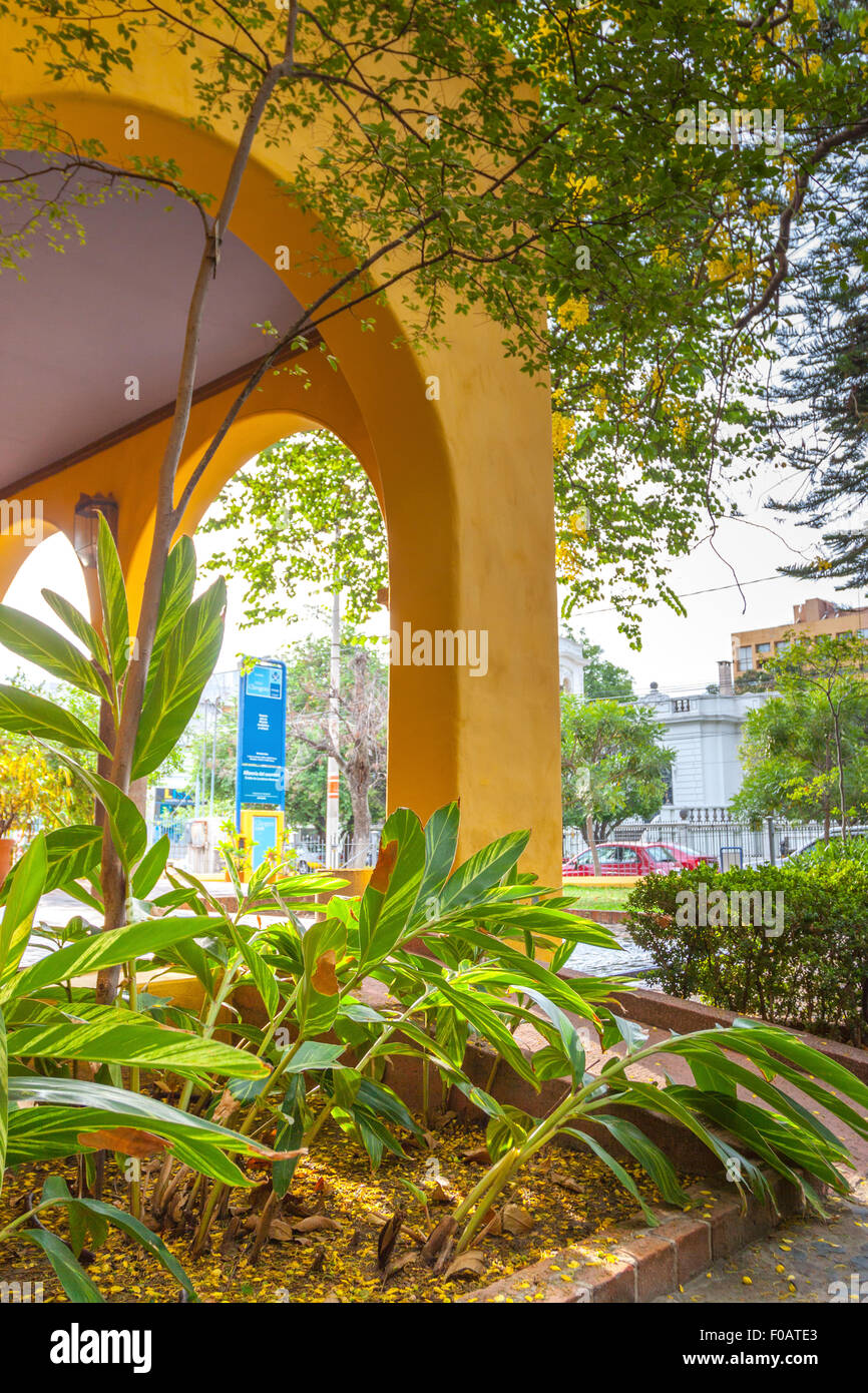 Typical patron mexican house. Guadalajara, Jalisco. Mexico Stock Photo ...