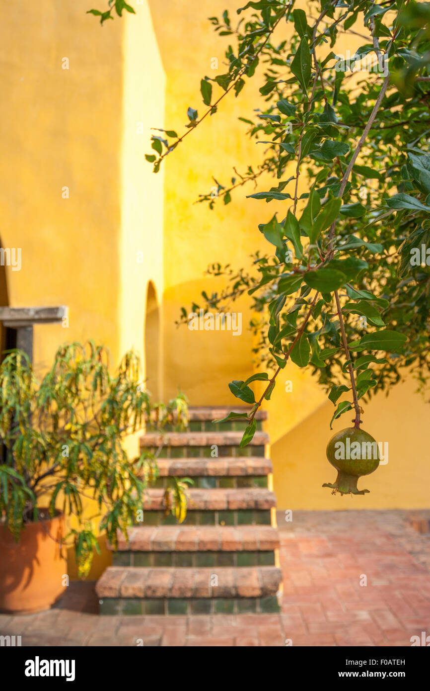 Typical patron mexican house. Guadalajara, Jalisco. Mexico Stock Photo ...