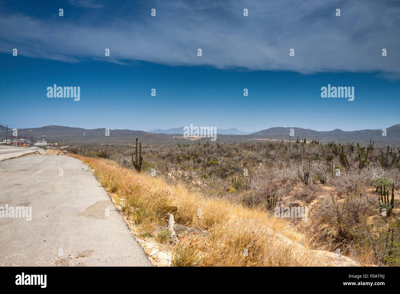 Desert landscape in Mexico. La Paz, Baja California Sur. Mexico Stock ...