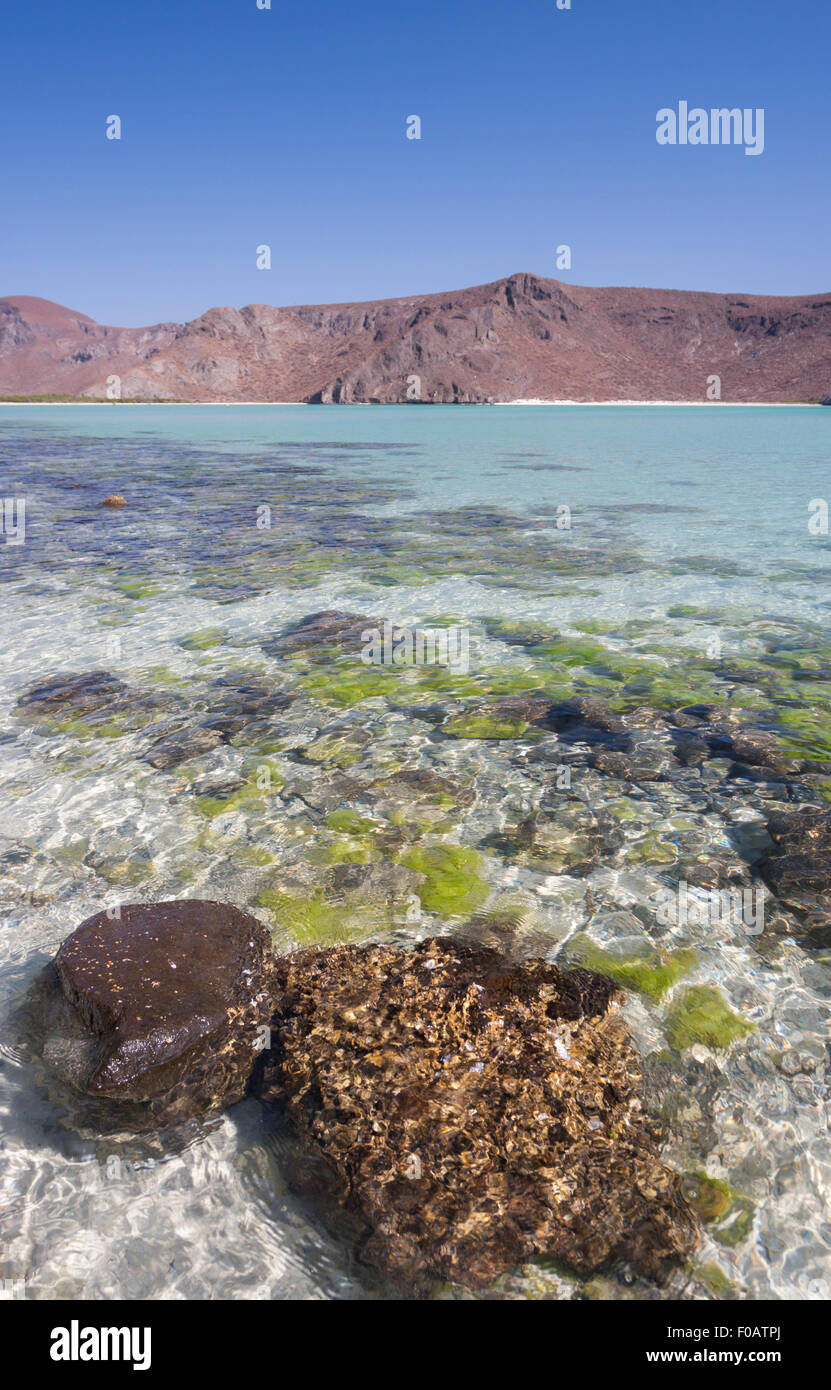 Balandra Bay and Sea of Cortes. La Paz, Baja California Sur. Mexico ...