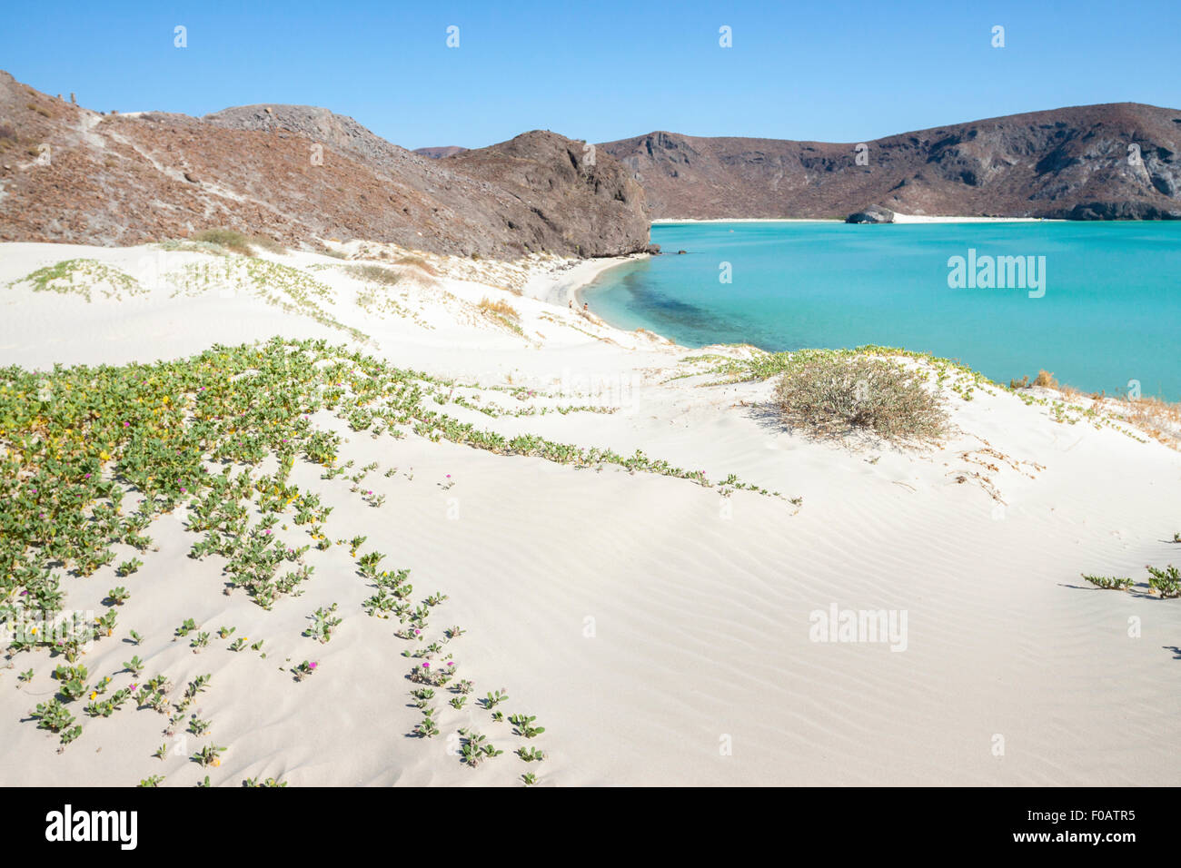 Balandra Bay and Sea of Cortes. La Paz, Baja California Sur. Mexico ...