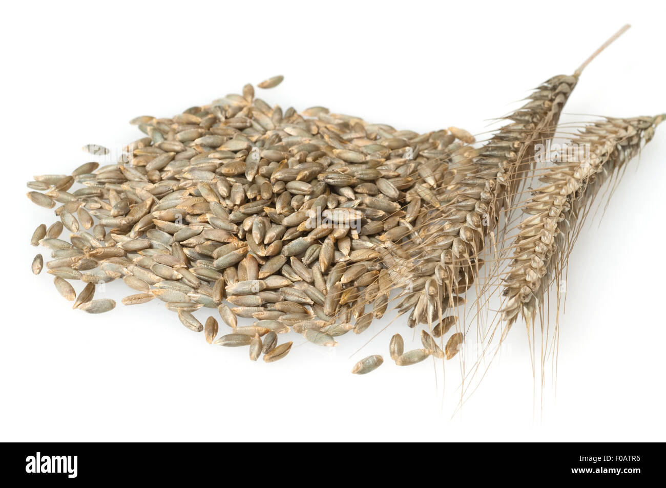 Roggenkorn hi-res stock photography and images - Alamy