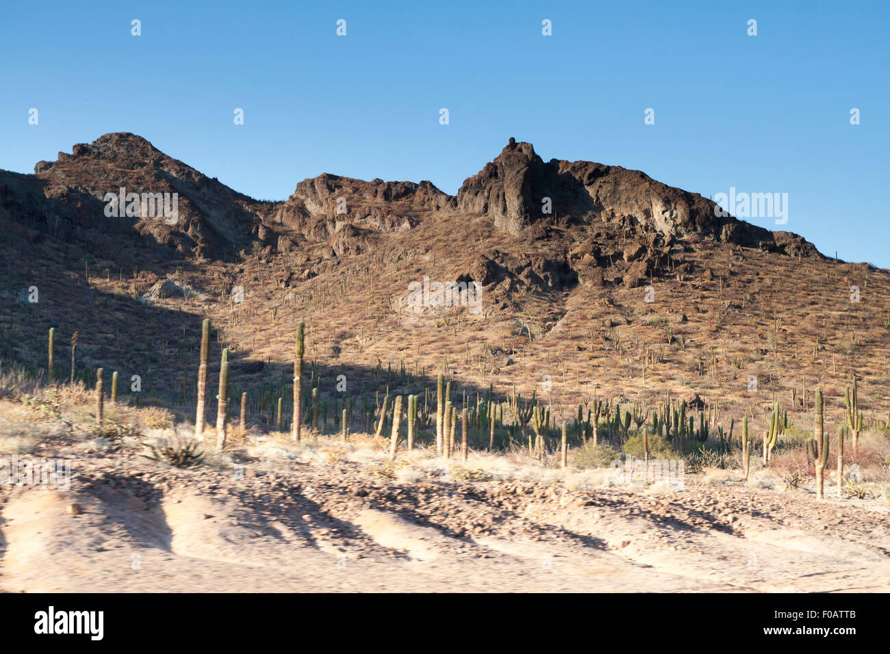 Desert landscape in Mexico. La Paz, Baja California Sur. Mexico Stock ...