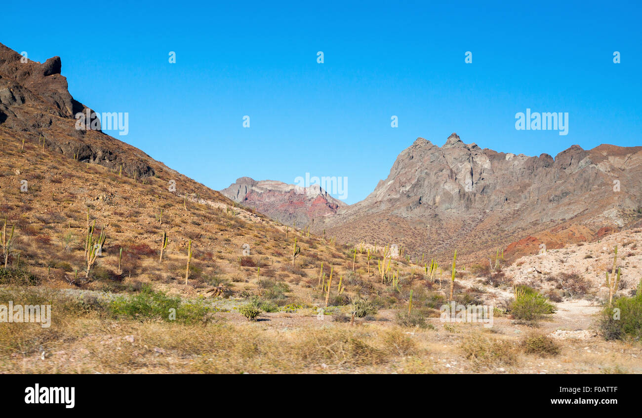 Desert landscape in Mexico. La Paz, Baja California Sur. Mexico Stock ...