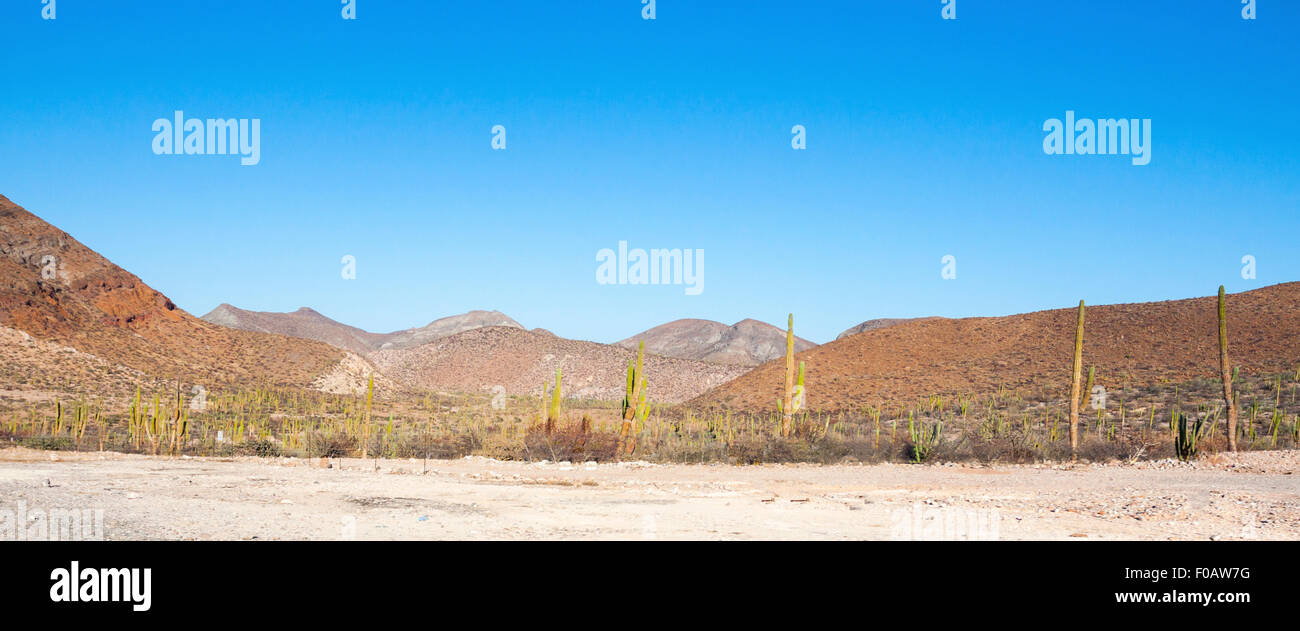 Desert landscape in Mexico. La Paz, Baja California Sur. Mexico Stock ...