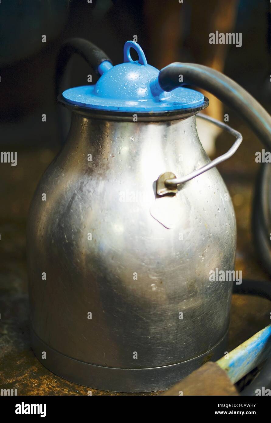 A milk can Stock Photo - Alamy