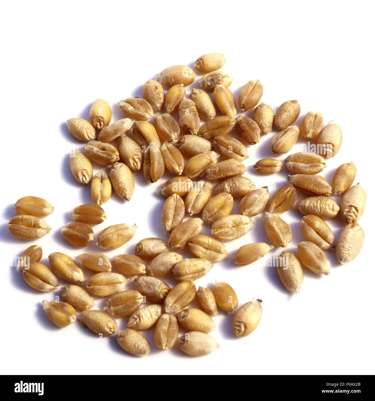 Getreide Cut Out Stock Images & Pictures - Alamy