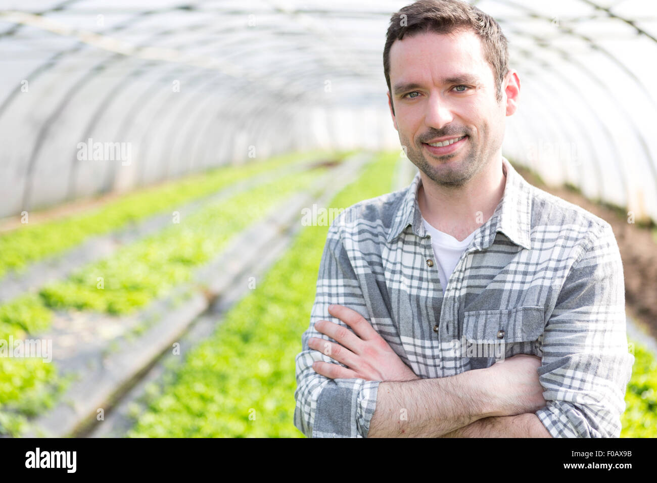 VIew of an attractive farmer in a greenhouse Stock Photo - Alamy