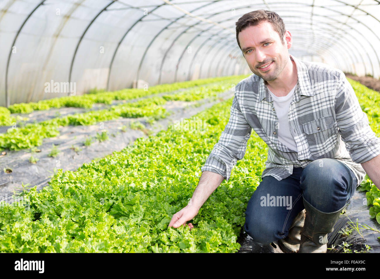 VIew of an attractive farmer in a greenhouse Stock Photo - Alamy