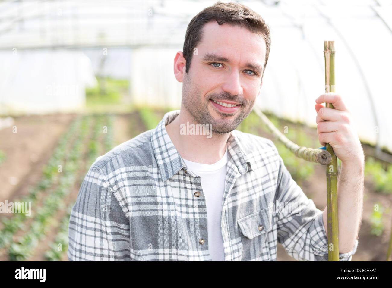 View of an attractive farmer in a greenhouse Stock Photo - Alamy