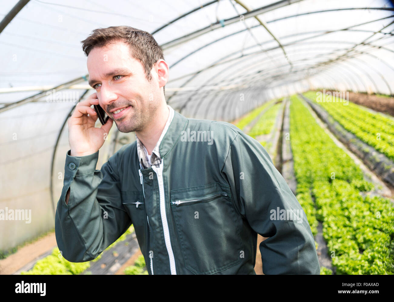 View of a Portrait of an attractive farmer in a greenhouse using mobile ...