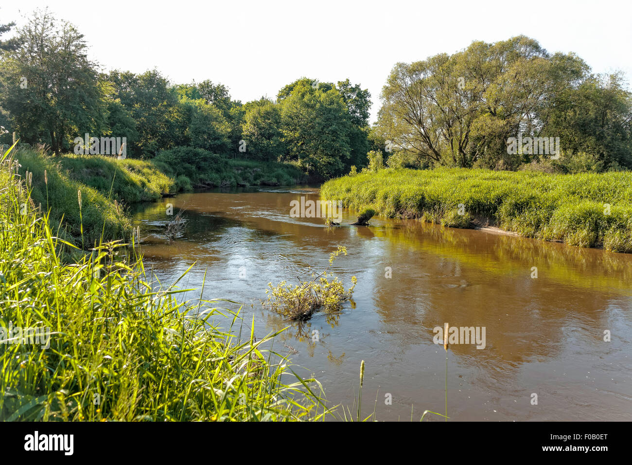 Czarna Nida river by Tokarnia open-air museum, Poland Stock Photo - Alamy