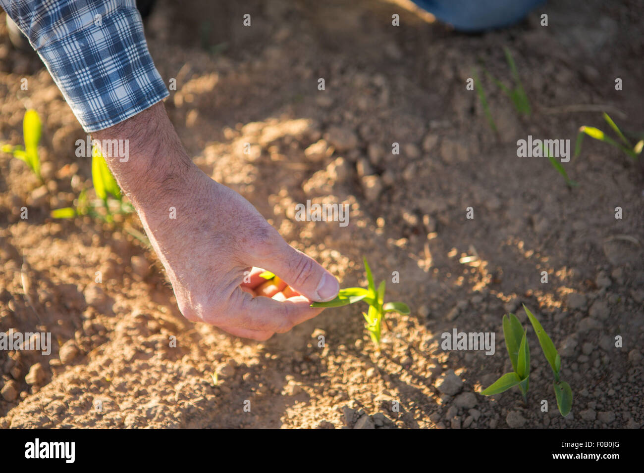 Smi culture hi-res stock photography and images - Alamy