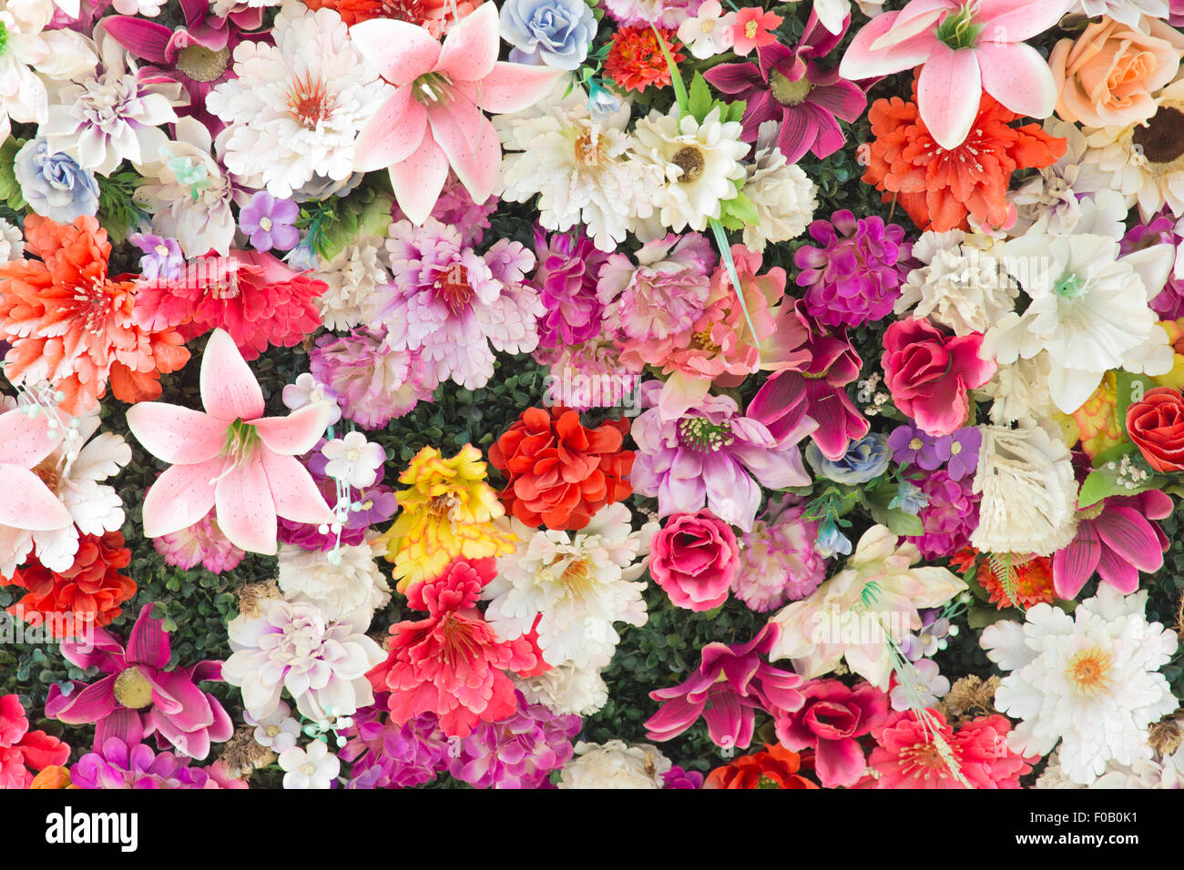 background with lots of colorful flowers Stock Photo - Alamy
