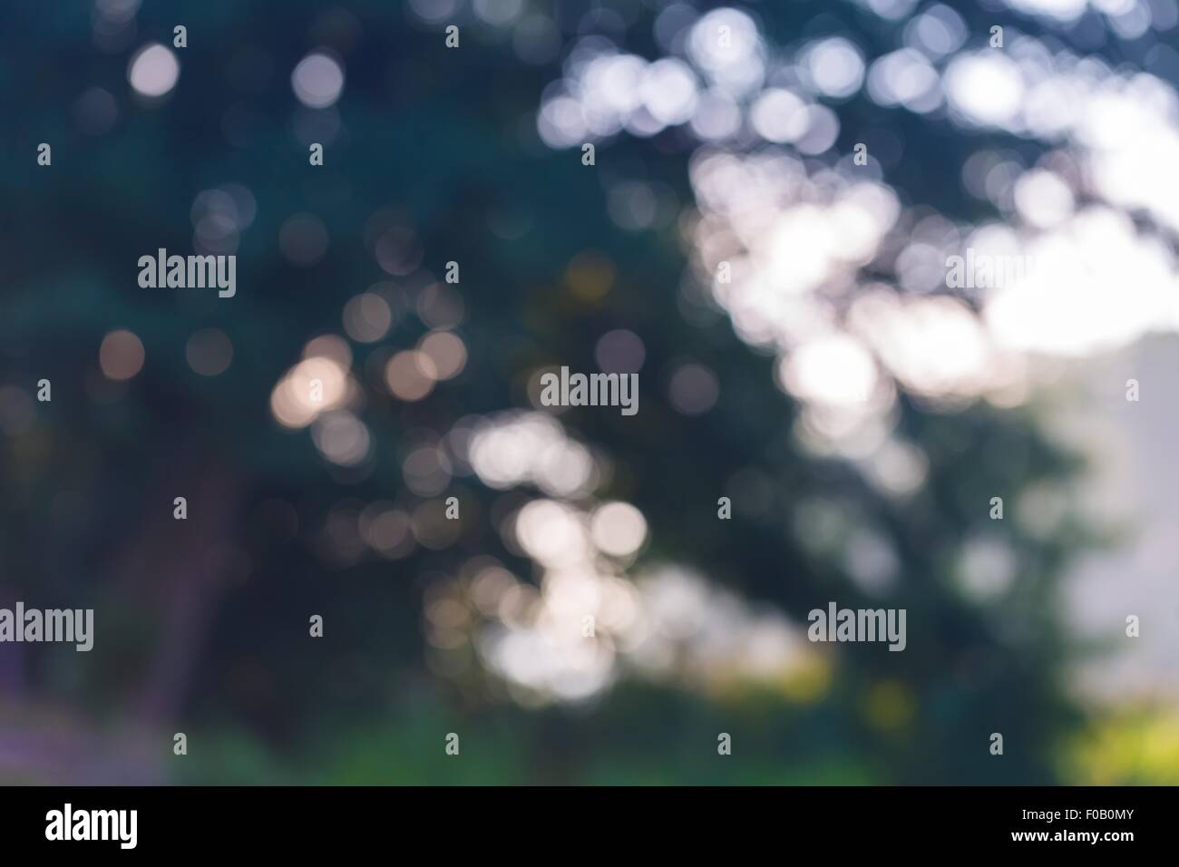 Natural defocused background hi-res stock photography and images - Alamy