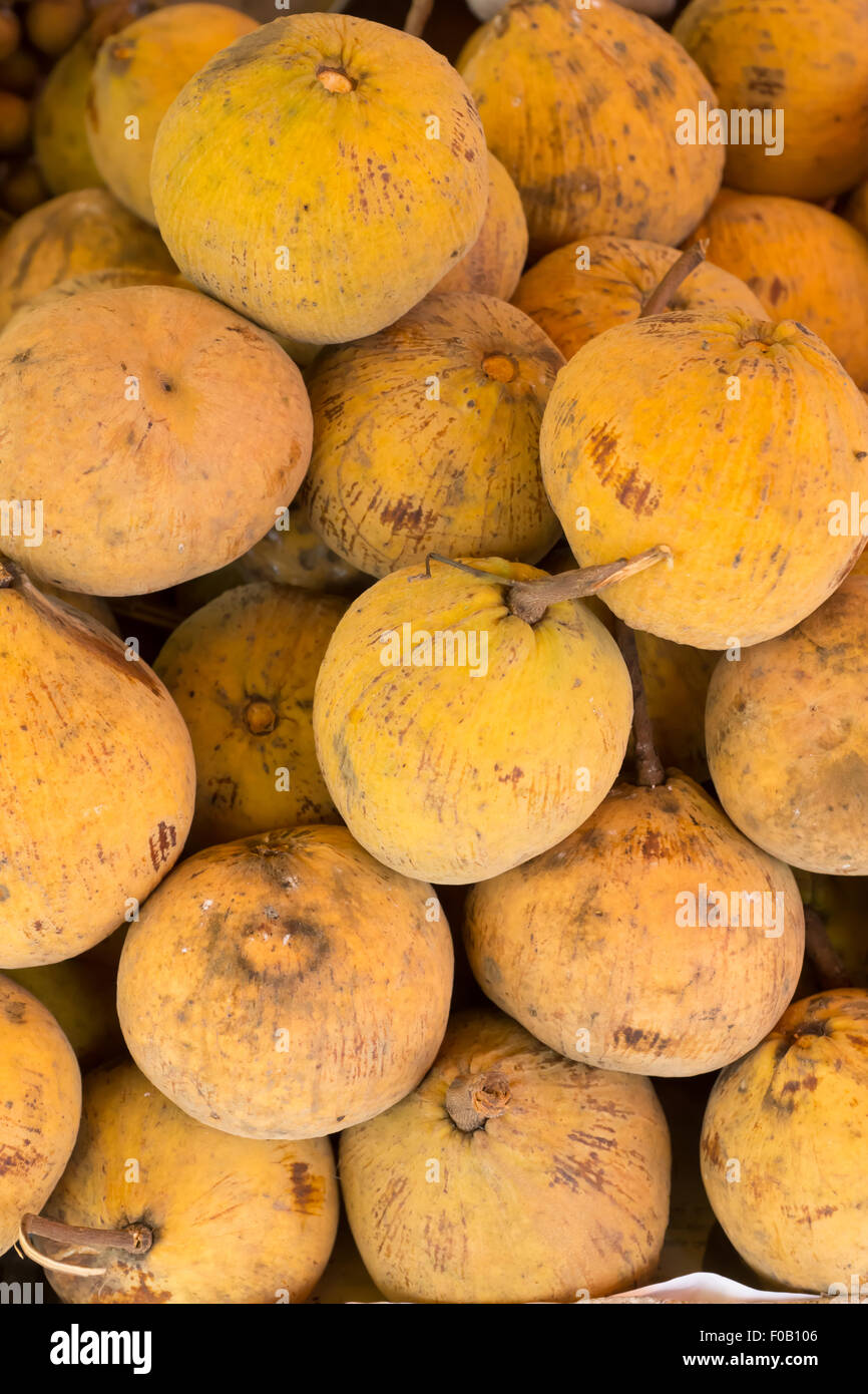 English For Santol Term