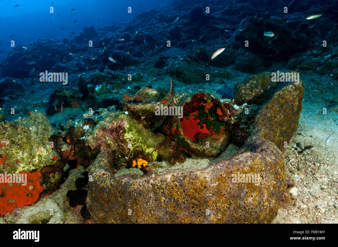 Roman amphora hi-res stock photography and images - Alamy