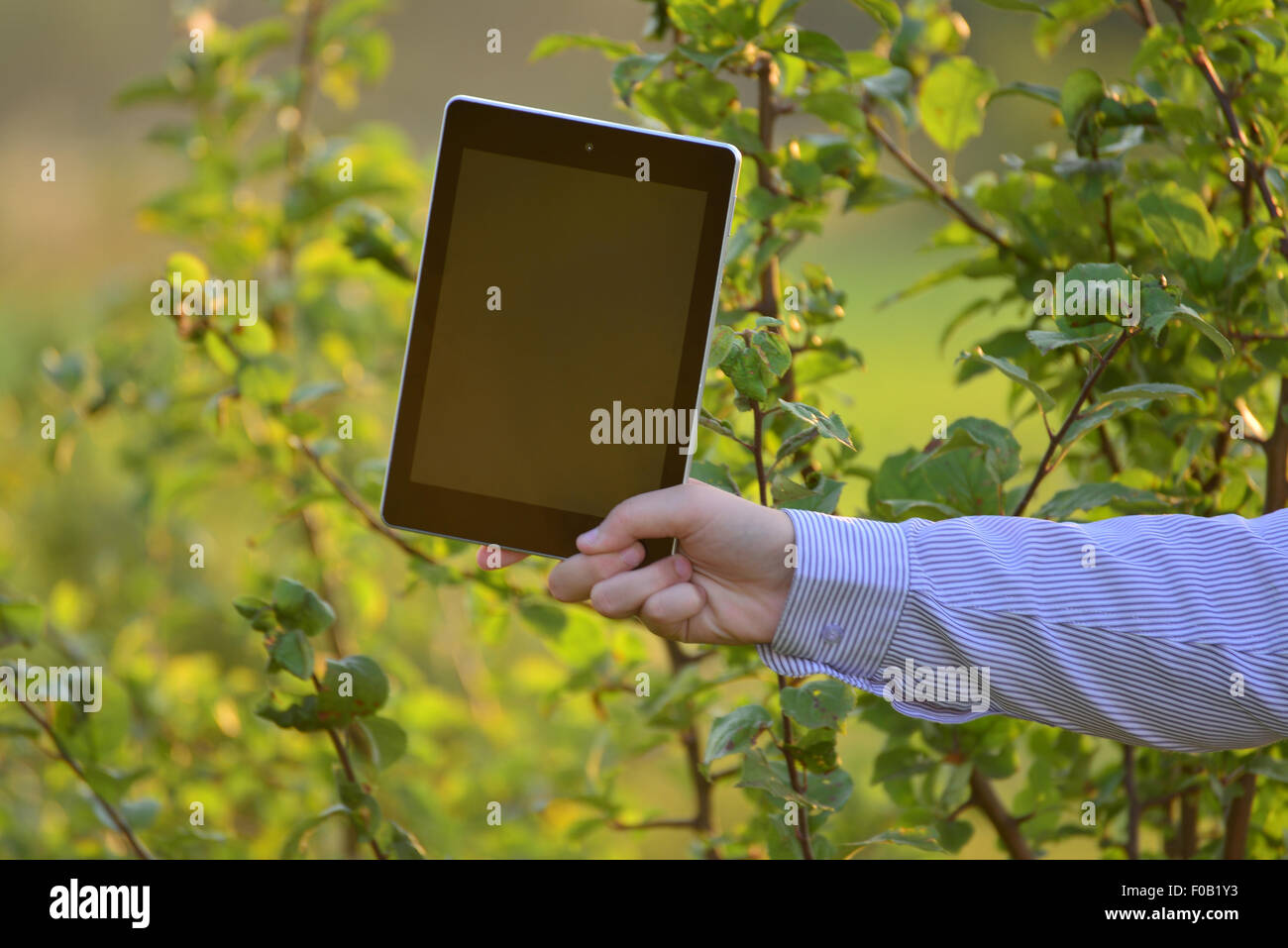 Tablet computer in the children's hand on nature Stock Photo - Alamy