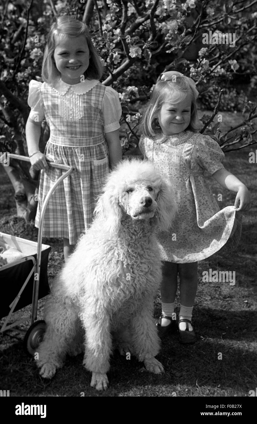 Two people pet dog Black and White Stock Photos & Images - Alamy