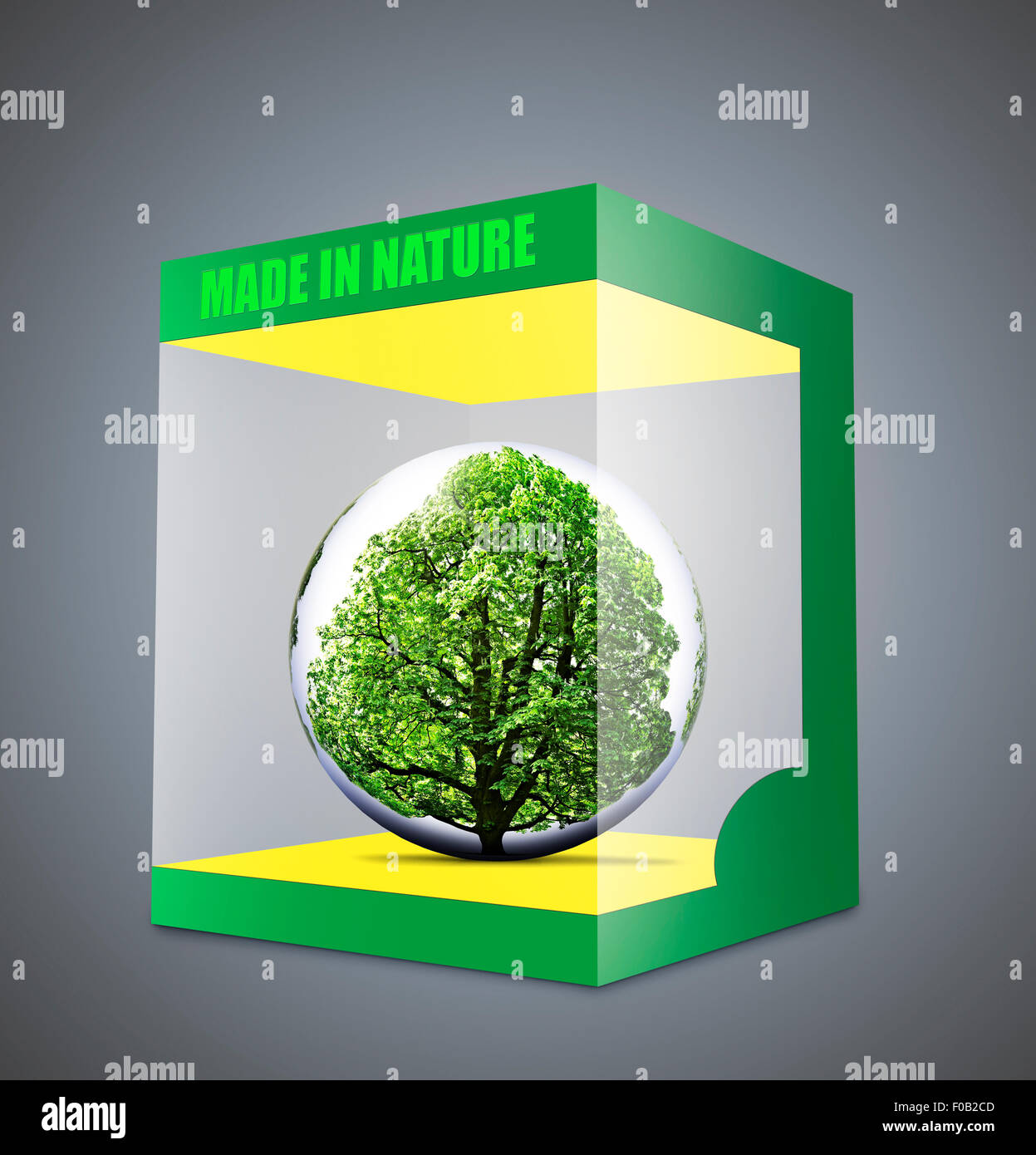 Ball or sphere with protected tree in transparent box and on gray ...