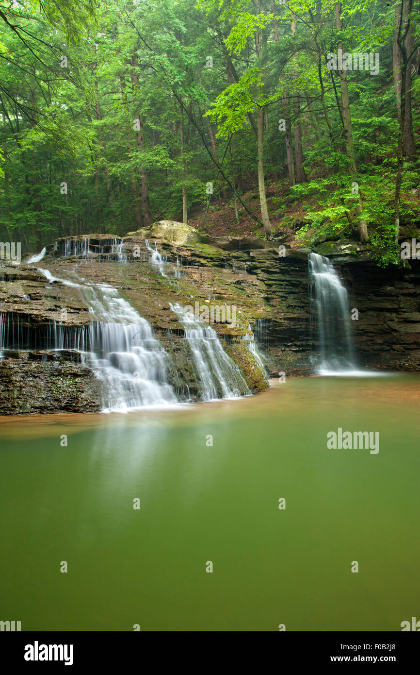 FREEDOM WATERFALL SHULL RUN ABOVE ALLEGHENY RIVER VENANGO COUNTY ...
