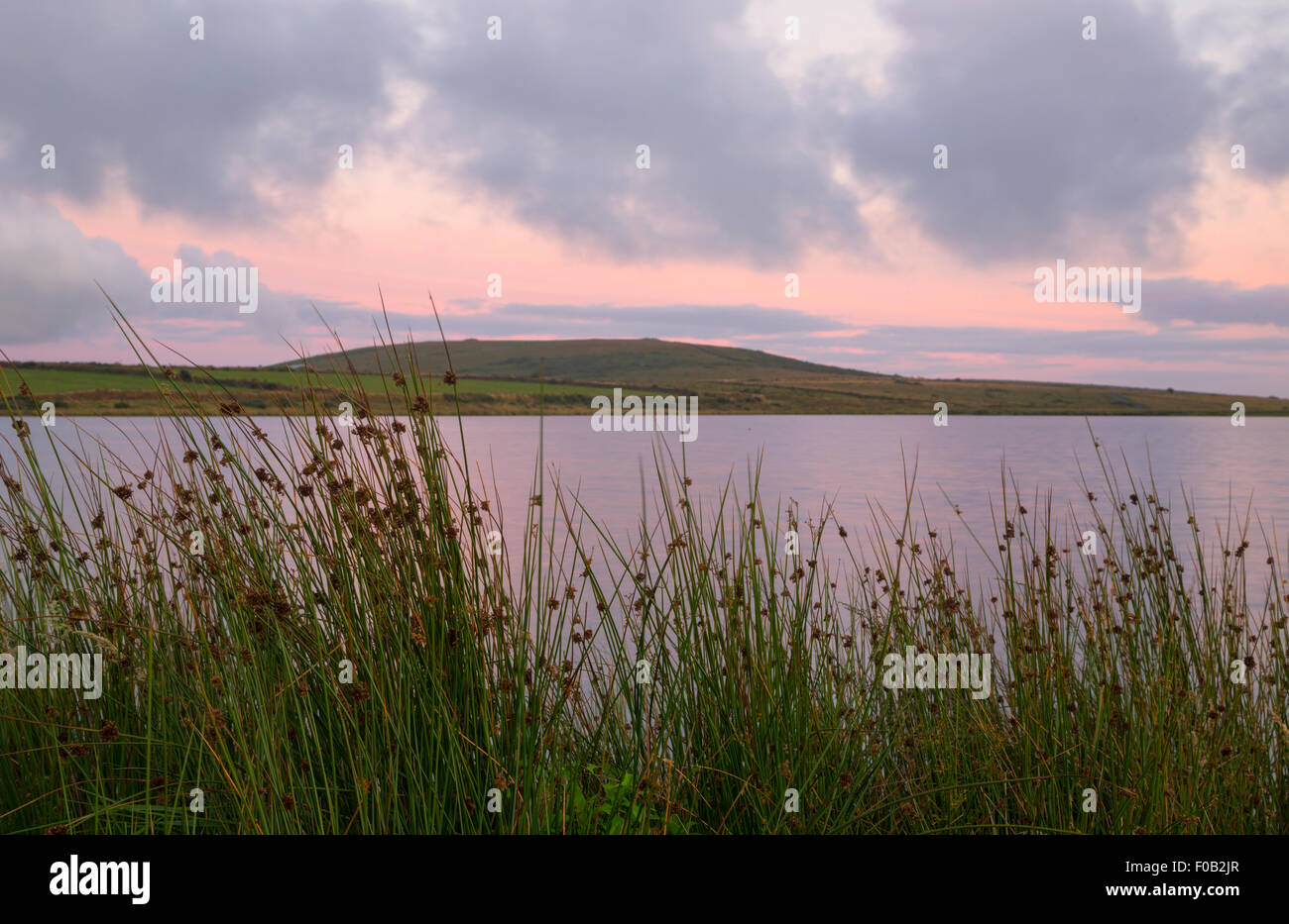 Dozmary Pool on Bodmin Moor Stock Photo - Alamy