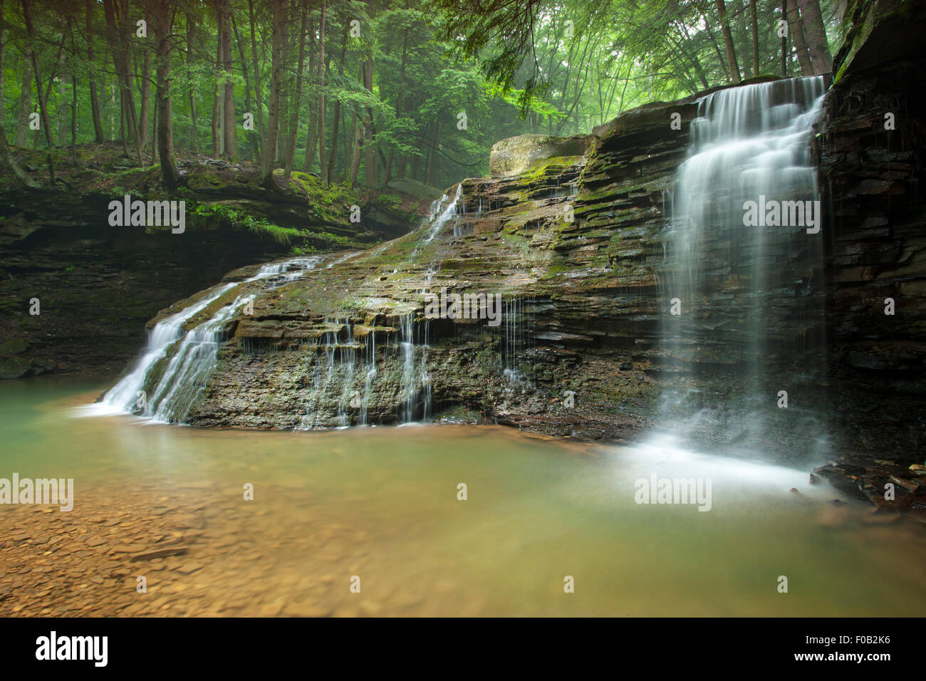 FREEDOM WATERFALL SHULL RUN ABOVE ALLEGHENY RIVER VENANGO COUNTY ...