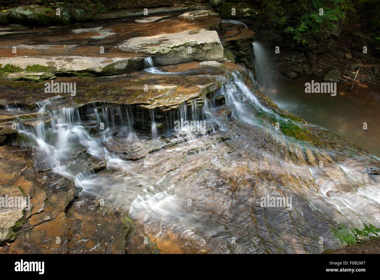Slippery Rock Water Park