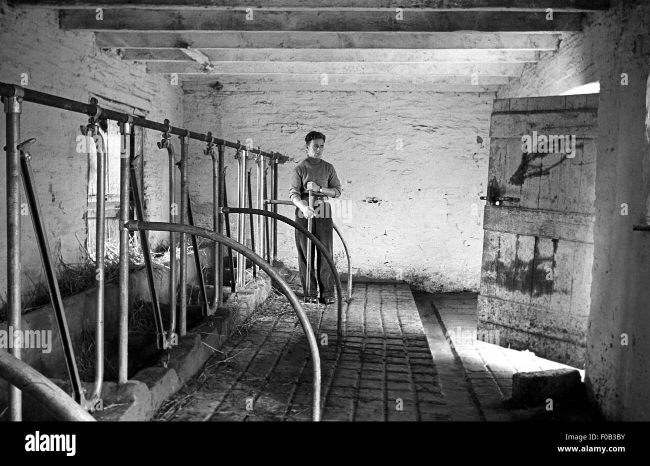 Man in 1940s standing hi-res stock photography and images - Alamy