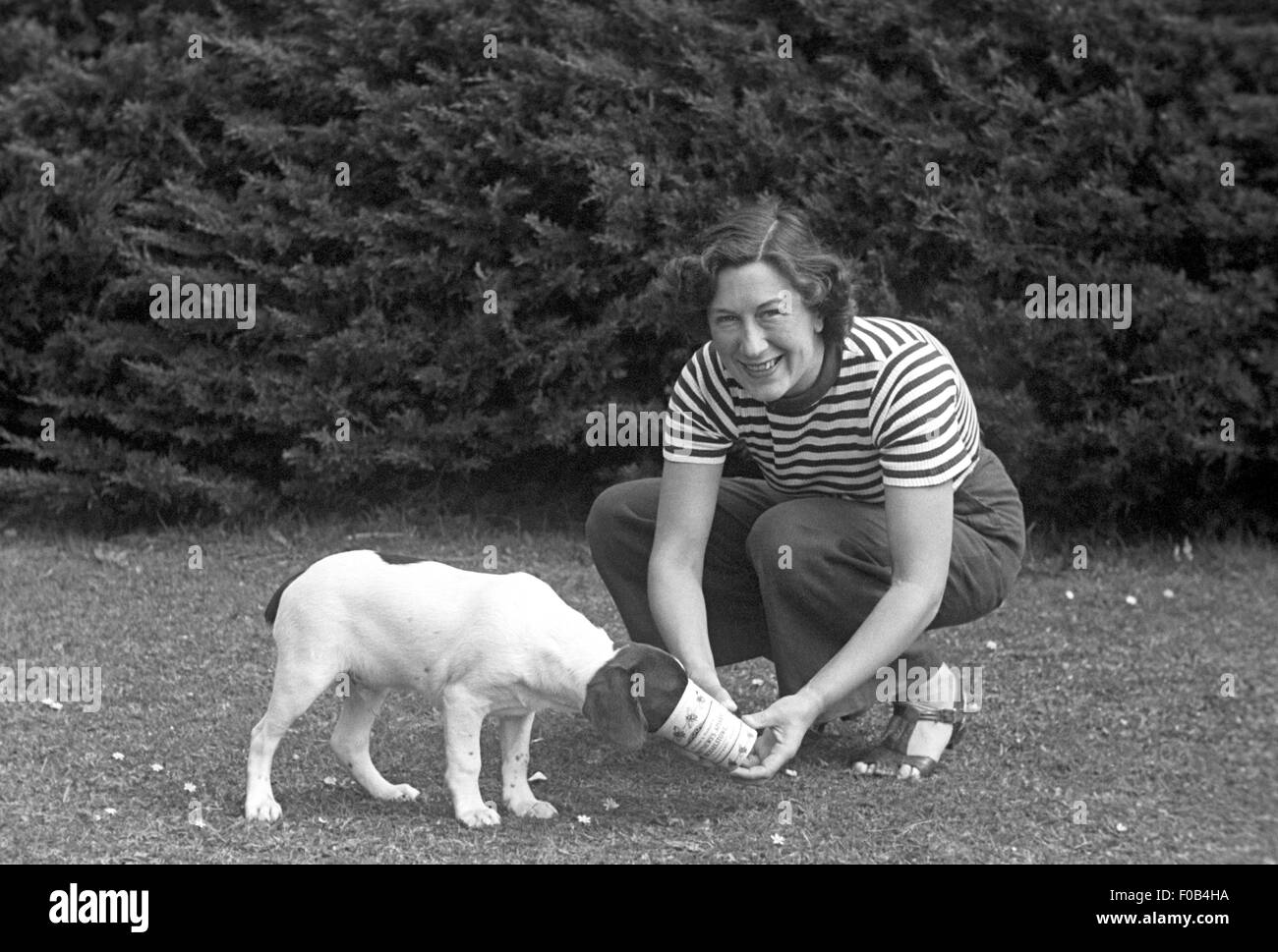 A woman with her Jack Russell terrier dog with it's head in a beaker ...