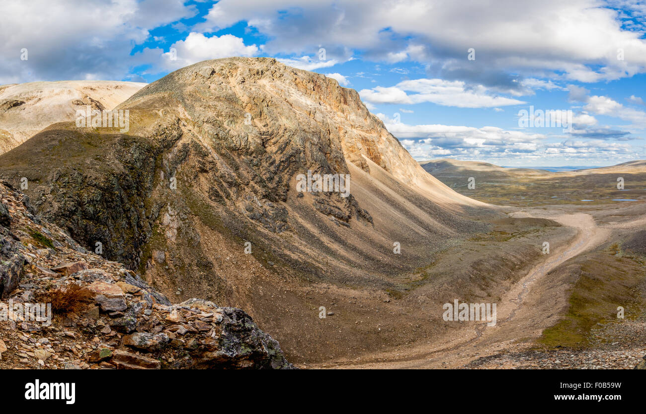 Stabbursdalen National Park, Norway Stock Photo - Alamy