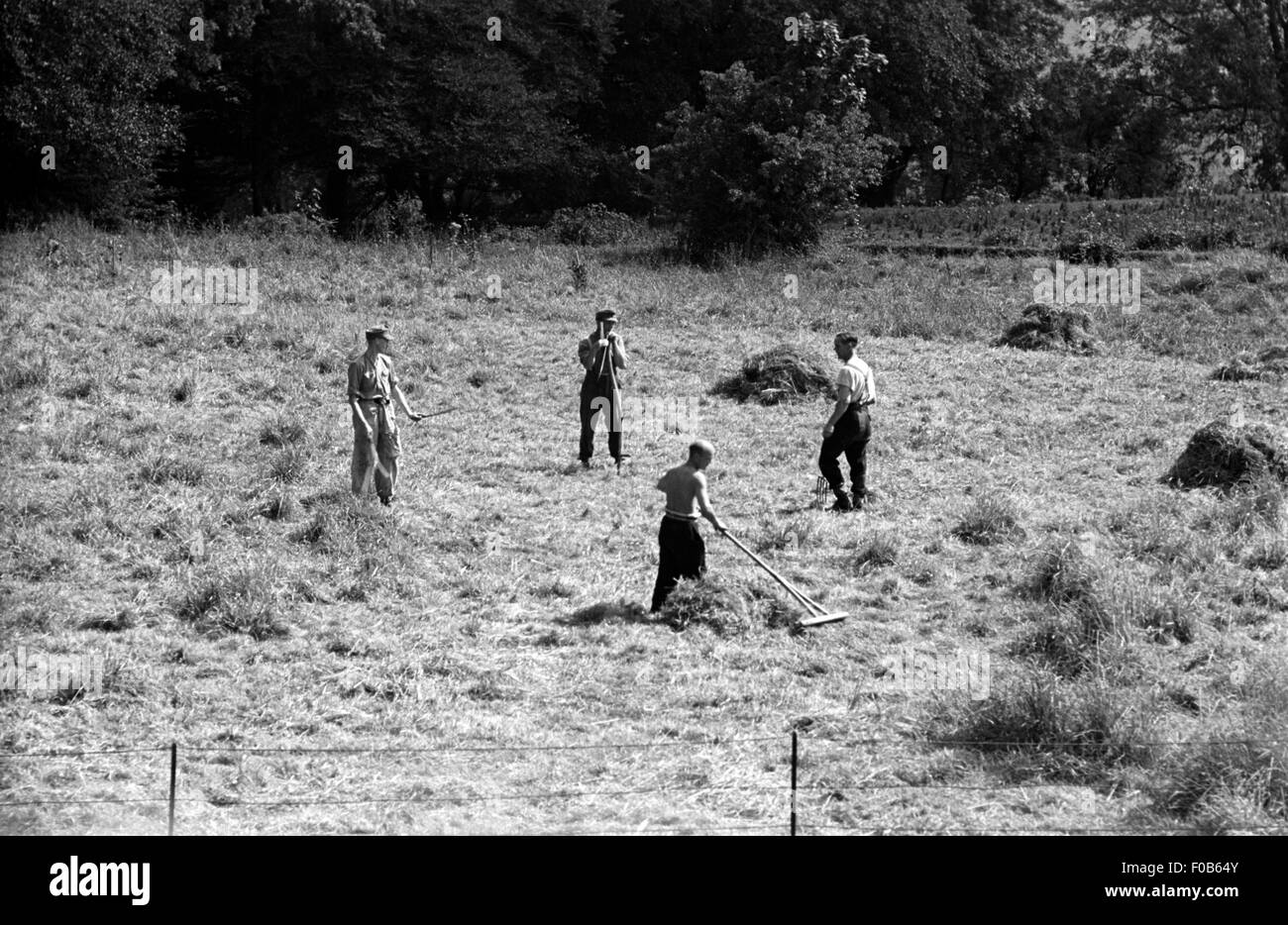 Raking up hay hi-res stock photography and images - Alamy