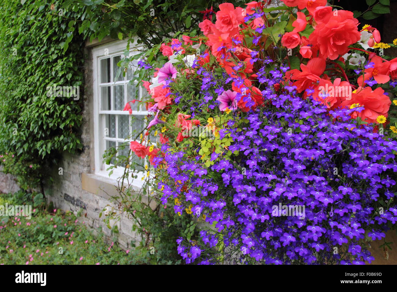 Hanging baskets hi-res stock photography and images - Alamy