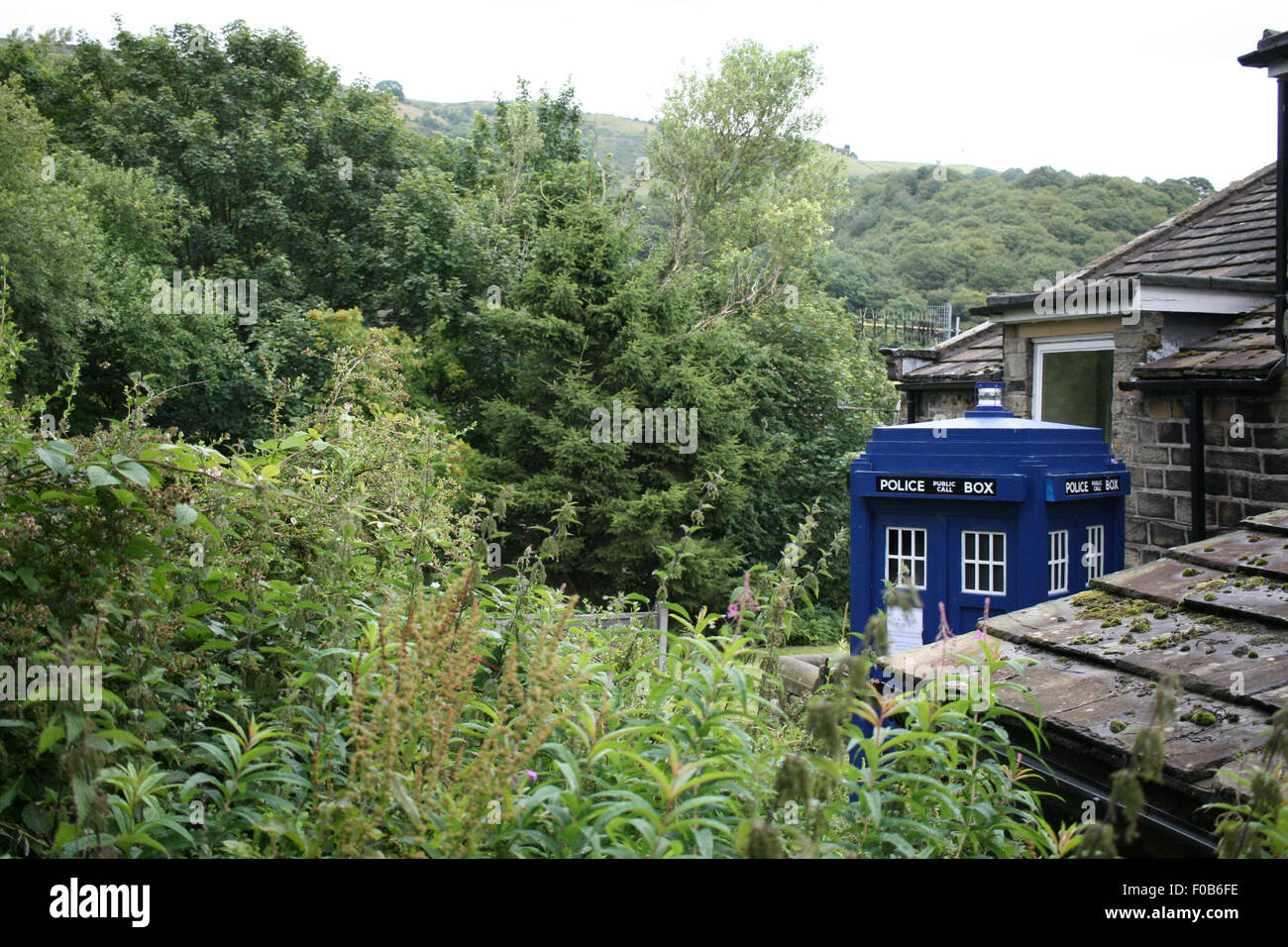 Doctor Who's tardis has appeared in a Yorkshire garden, surrounded by ...