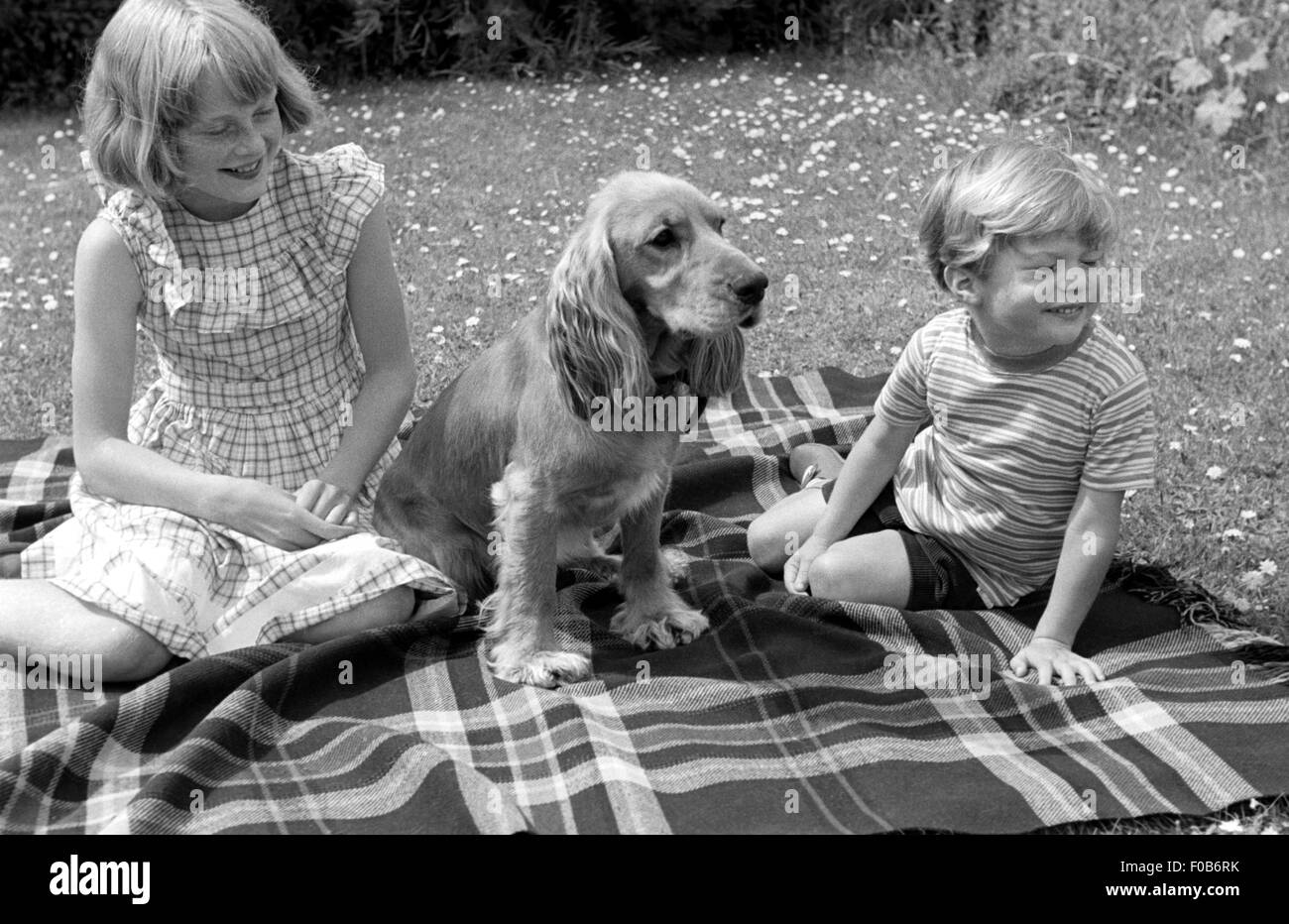 Two young children sitting on a blanket with a pet Spaniel dog Stock ...