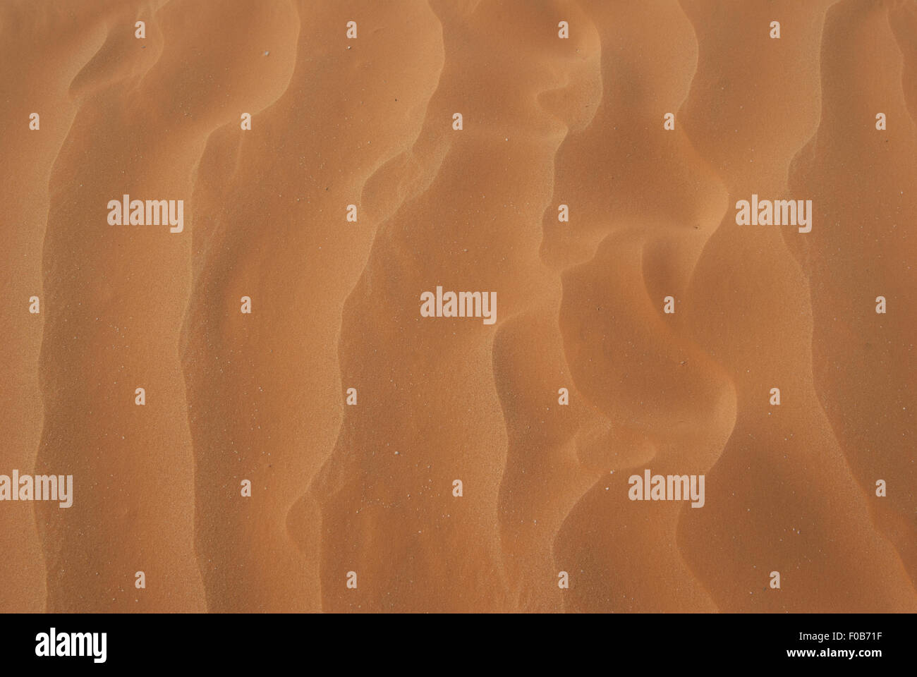 Sand texture in sahara desert, Egypt Stock Photo - Alamy