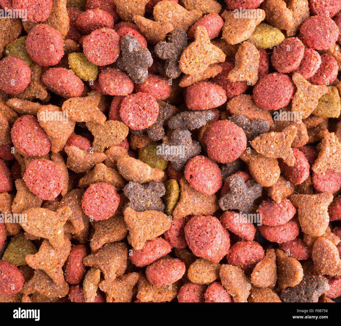 A very close view of generic dry cat food Stock Photo - Alamy
