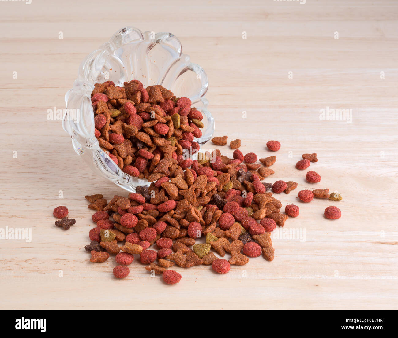 A glass bowl tipped on side with generic dry cat food spilling onto a ...