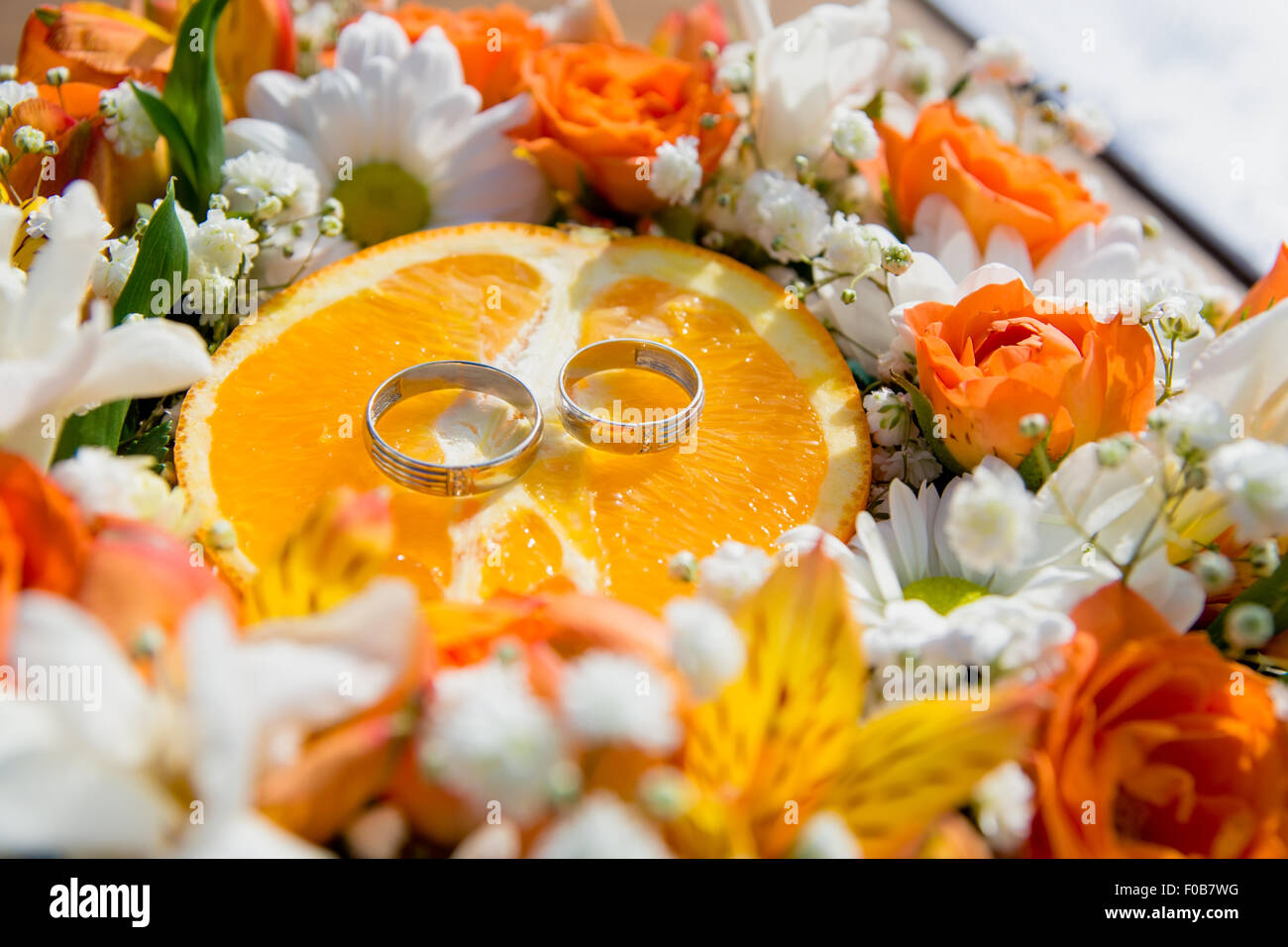 Ring of orange flowers hi-res stock photography and images - Alamy