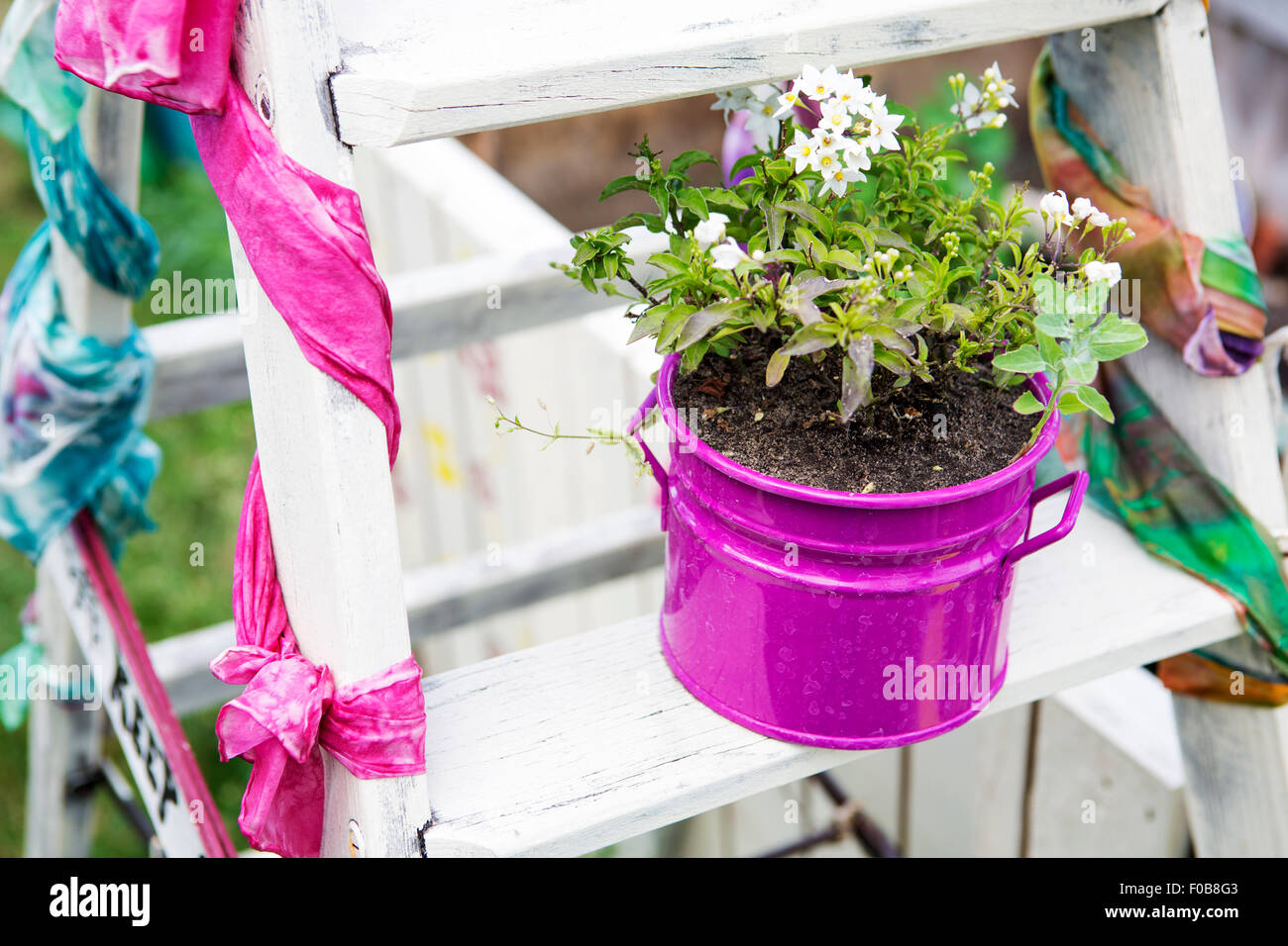 flowers in a pink pot on wooden ladder in garden Stock Photo - Alamy