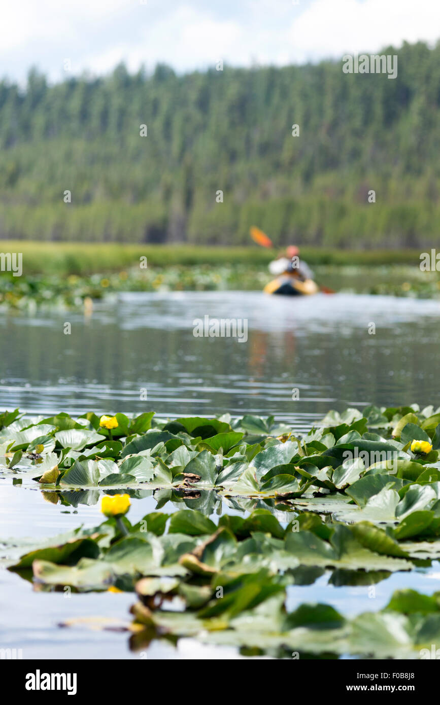 Paddling Big Marsh, Oregon Stock Photo - Alamy