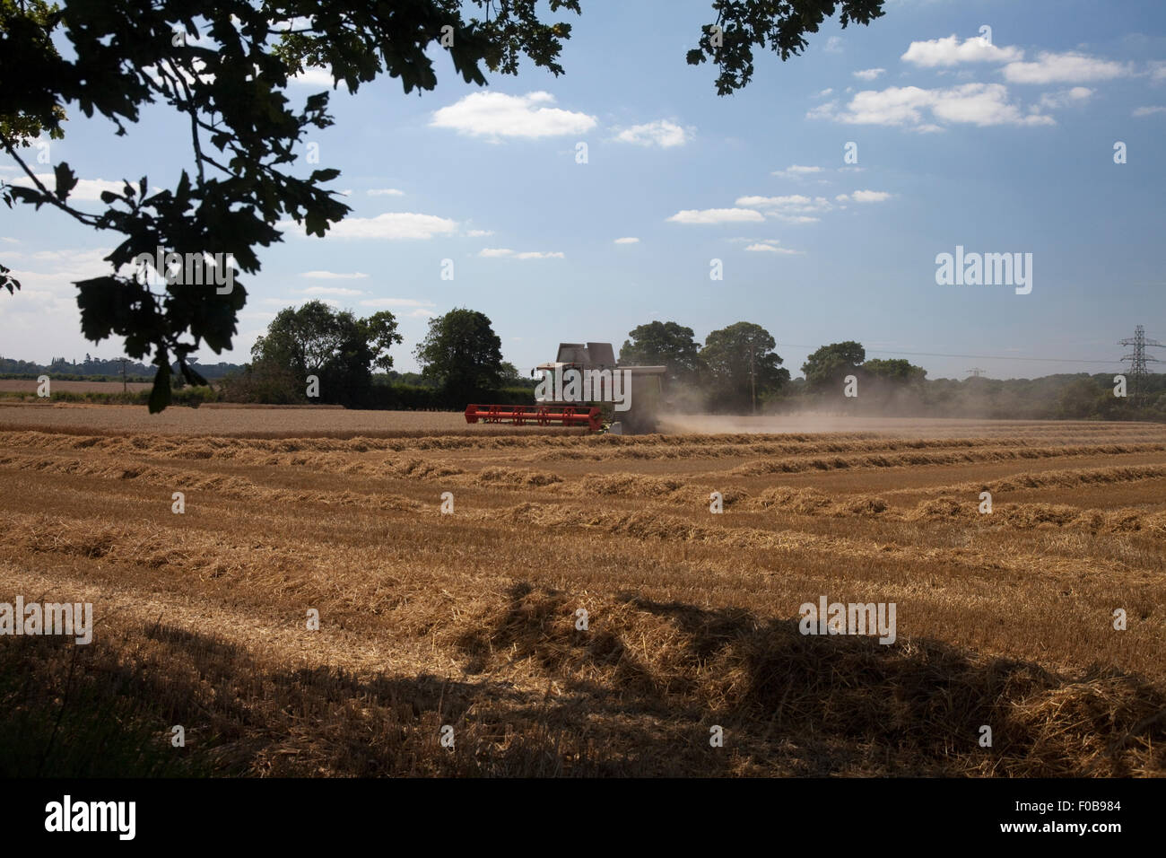 Class combine harvester hi-res stock photography and images - Alamy