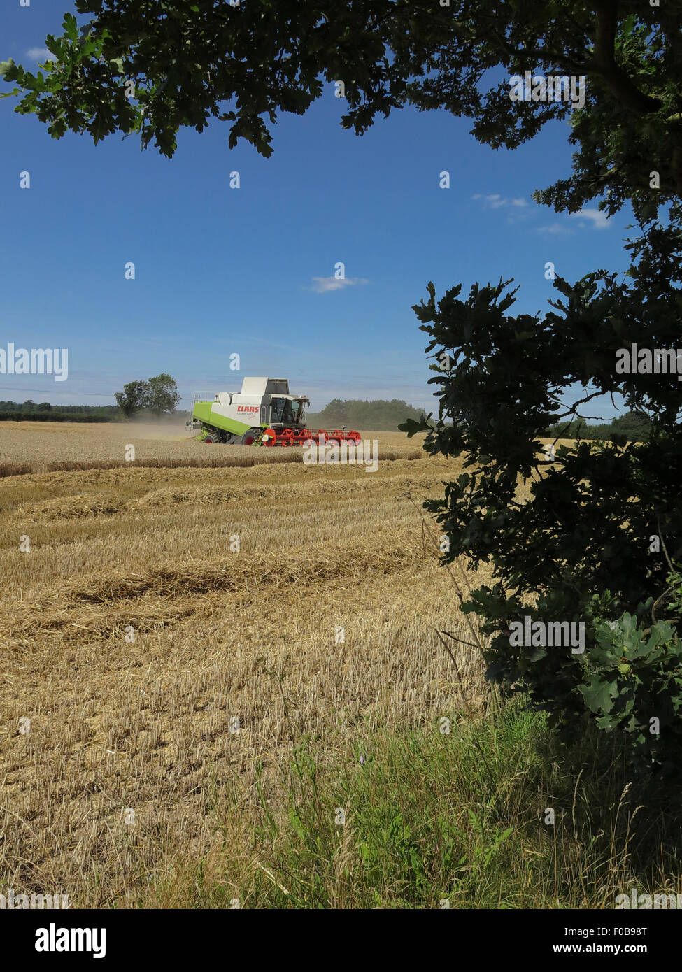 Class combine harvester hi-res stock photography and images - Alamy