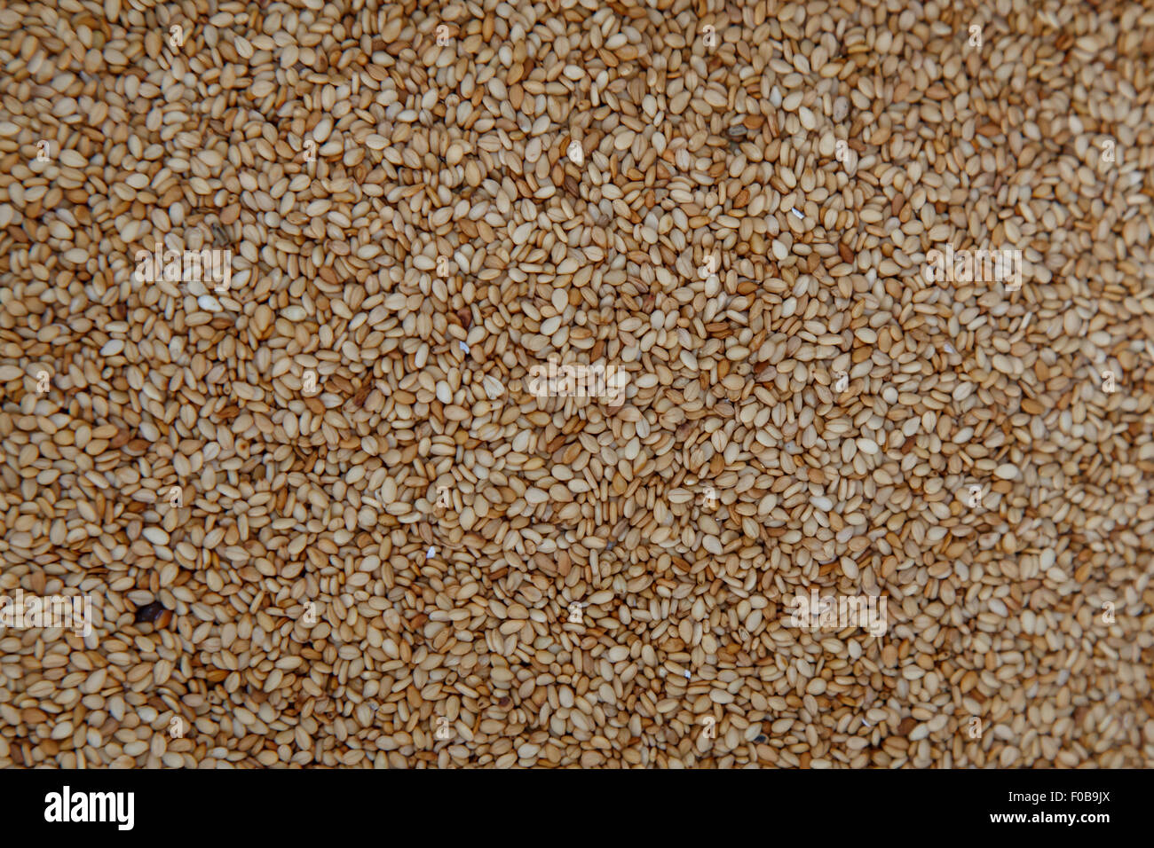 Closeup of lots of toasted sesame seeds Stock Photo - Alamy