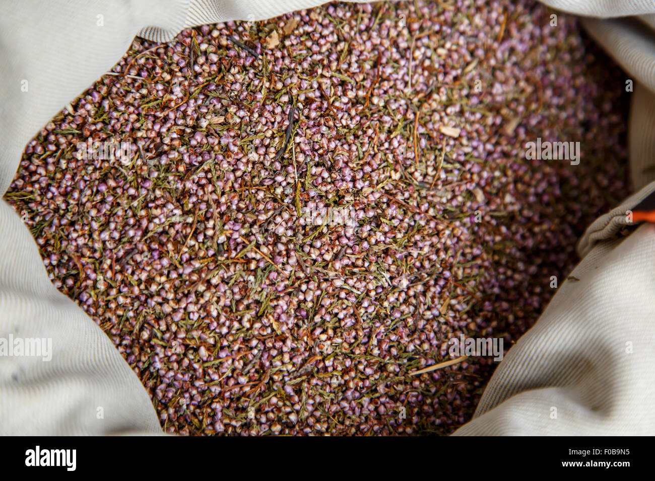 close-up of different types of Assorted Spices Stock Photo - Alamy