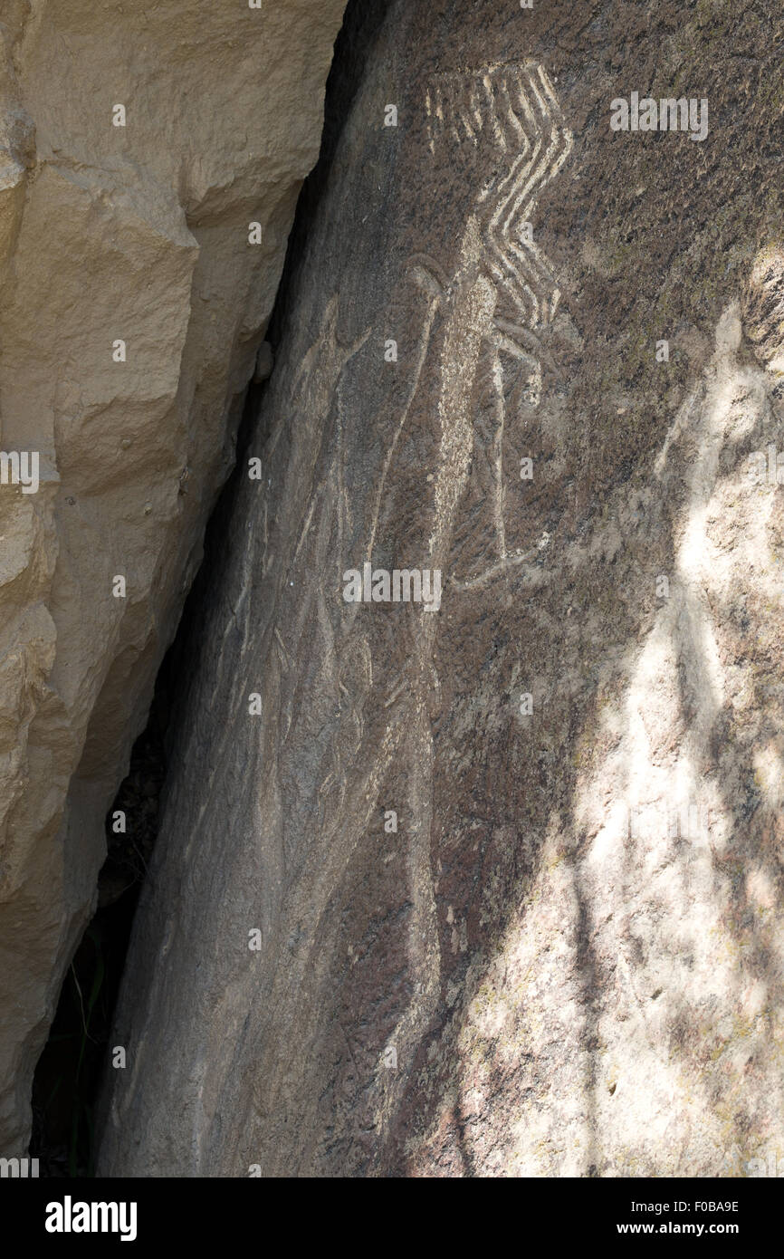 Humans, Petroglyphs, Gobustan (Qobustan) Rock Art, Azerbaijan Stock ...