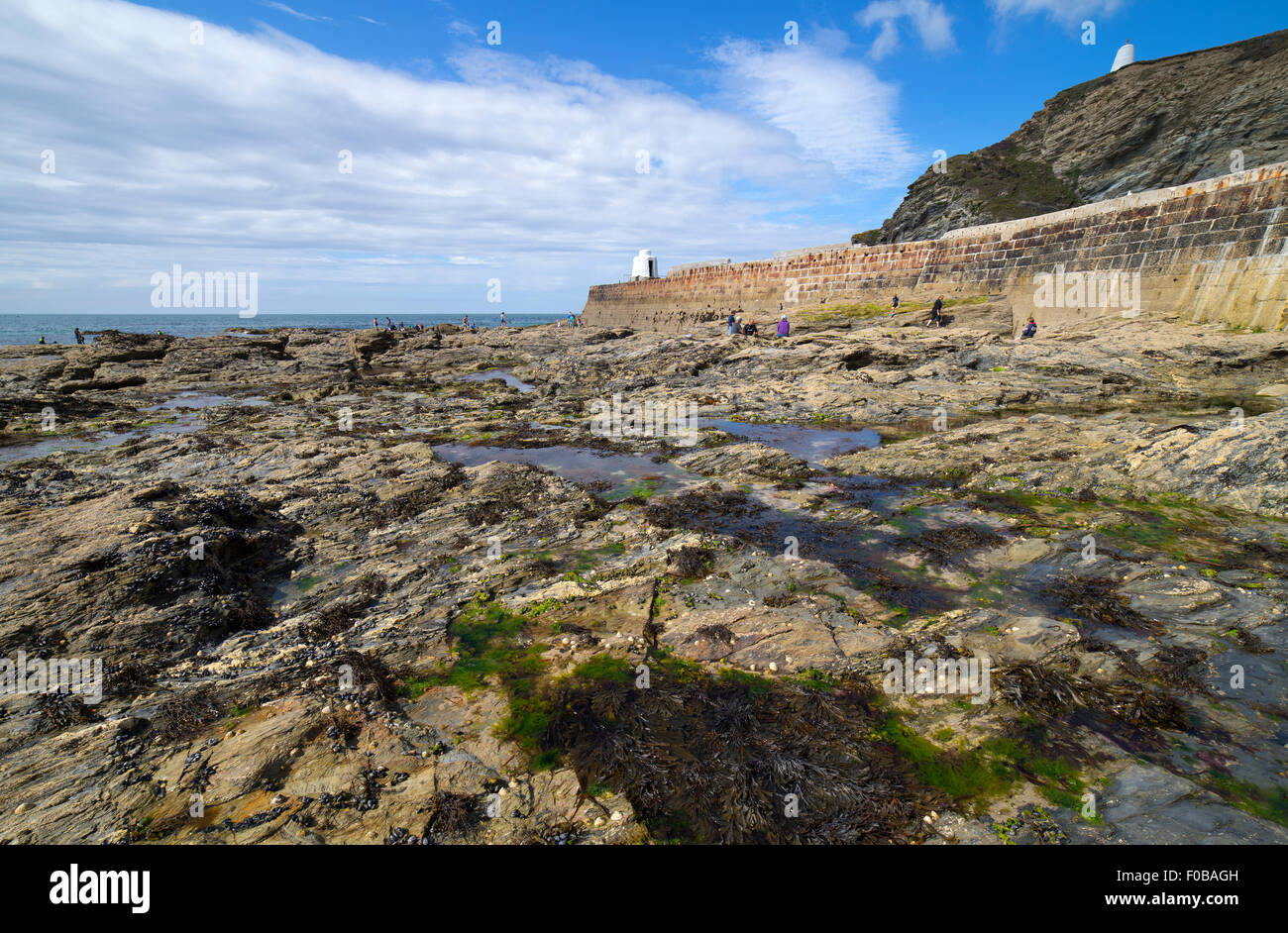Portreath pier rock pools at low tide, Cornwall England Stock Photo - Alamy